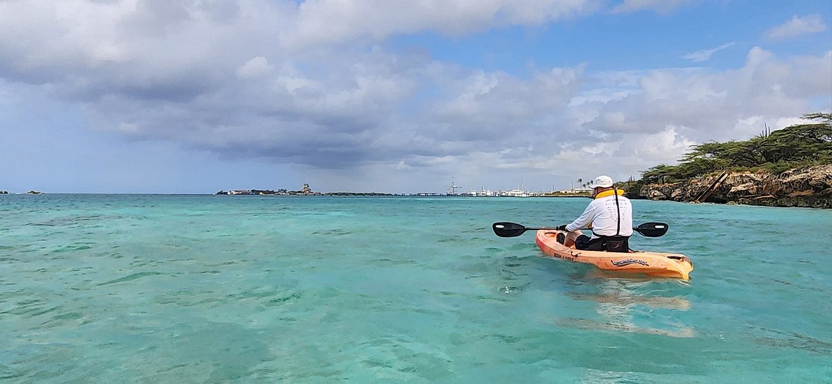 Highlight of the Week - Aruba Kayak Adventure Tours